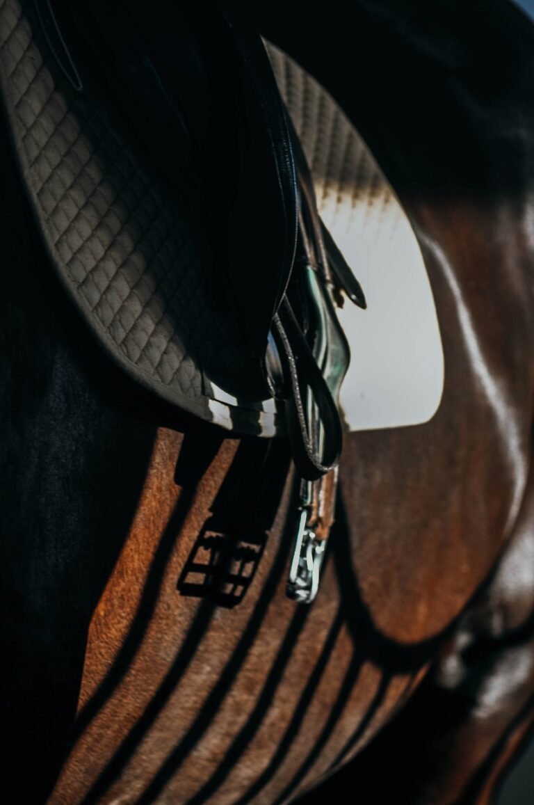 Collegiate Saddlery Official Website – Crafted Horse tack, Saddles ...